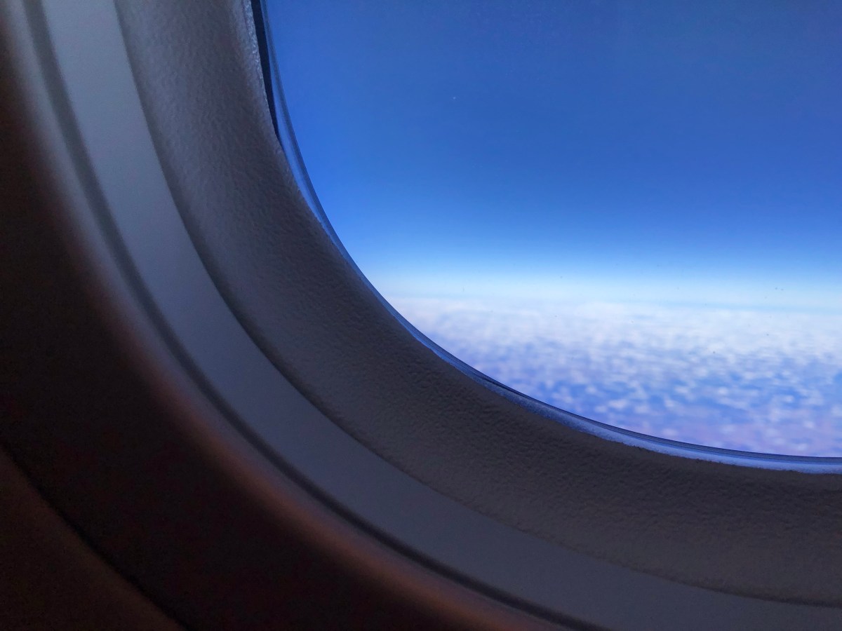 Her New Cheer | Brave Flower